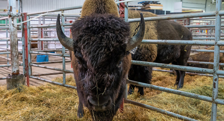 SaskTel and Samsung Canada Unveil Upgraded 5G Network for Canadian ...