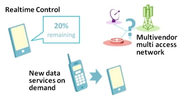 Case Study: Real Time Roaming Control