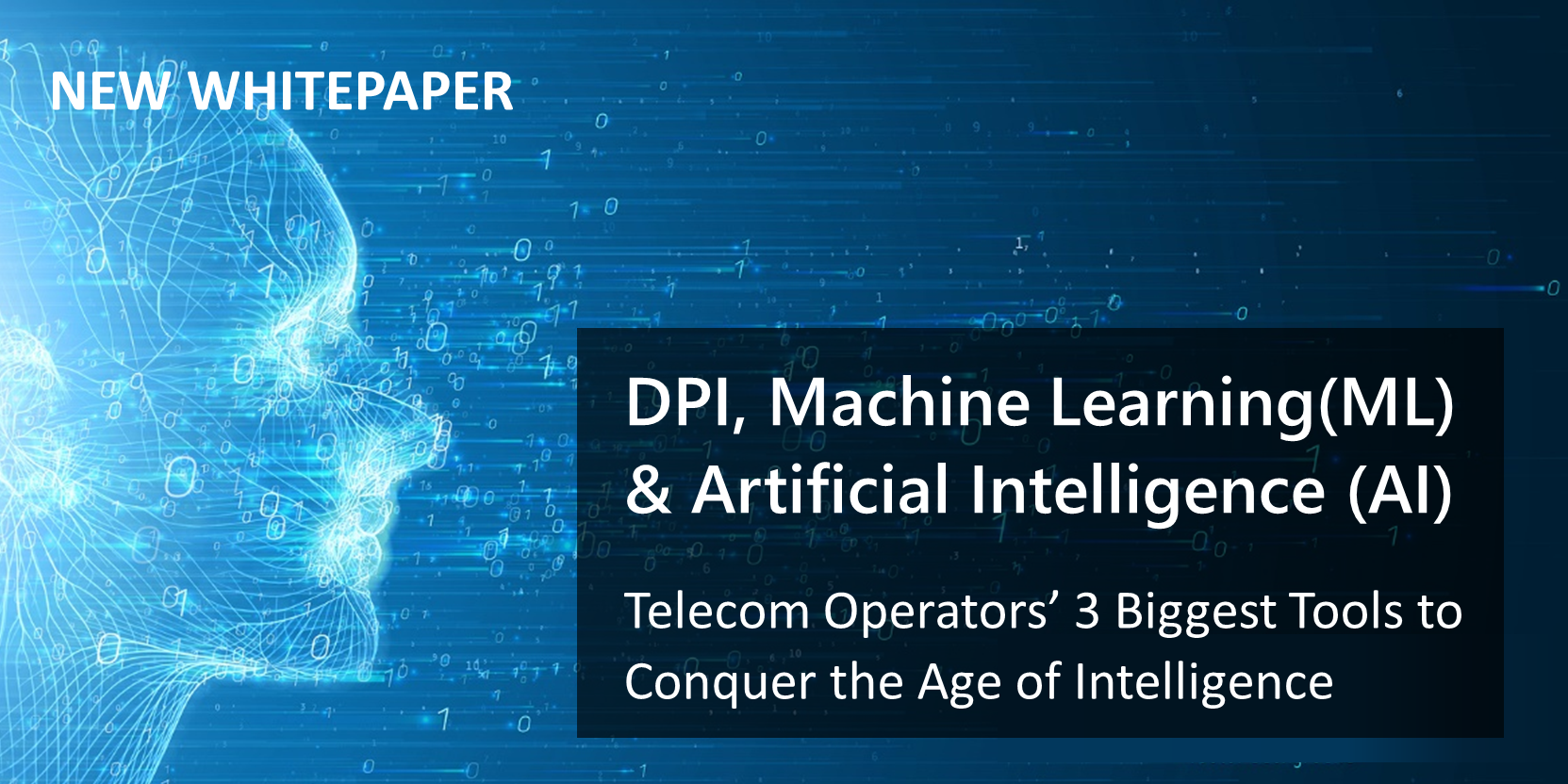 Deep Packet Inspection: A Crucial Enabler for Network Awareness - Rohde ...